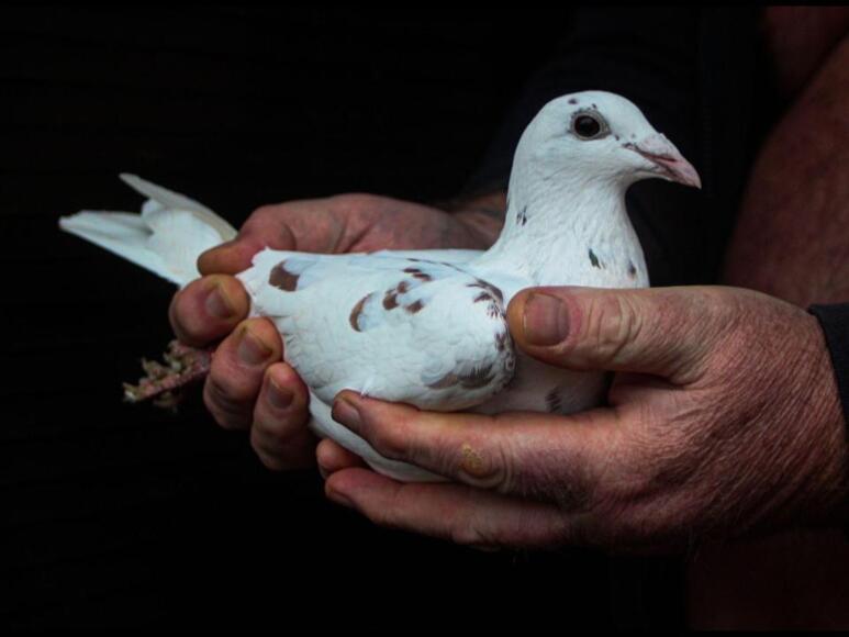 “They’ve done it again!” Four Hewett Academy Student's Artwork Selected ...